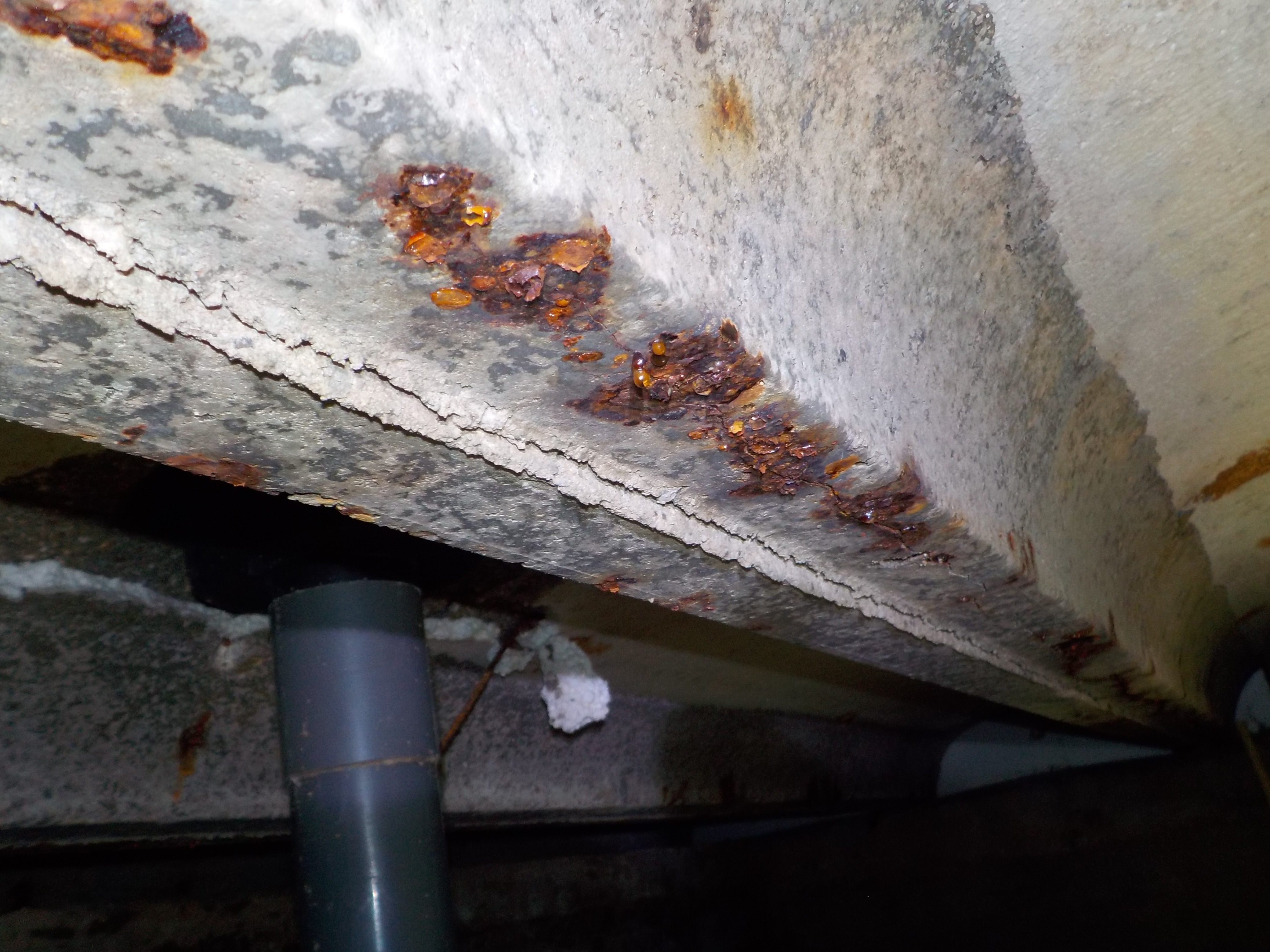 Betonschade door chloride - herstel door KB - Vogel